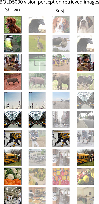 Retrieving and reconstructing conceptually similar images from fMRI ...