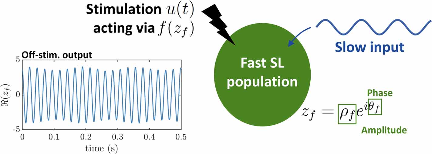 How to design optimal brain stimulation to modulate phase-amplitude ...