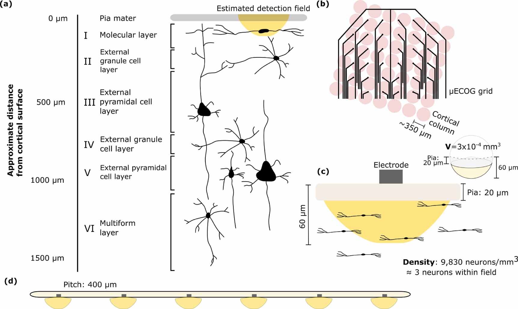 Recording of single-unit activities with flexible micro ...