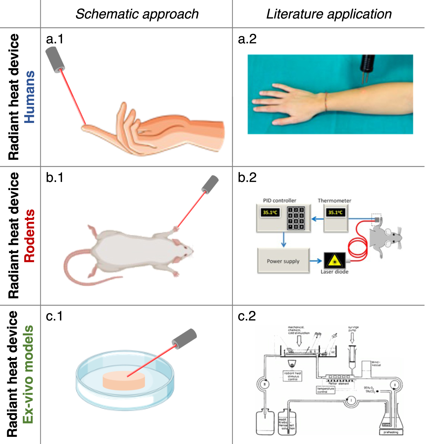 Mechanical and thermal stimulation for studying the somatosensory ...