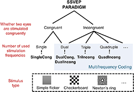 Binocularly incongruent, multifrequency-coded SSVEP in VR: feasibility ...