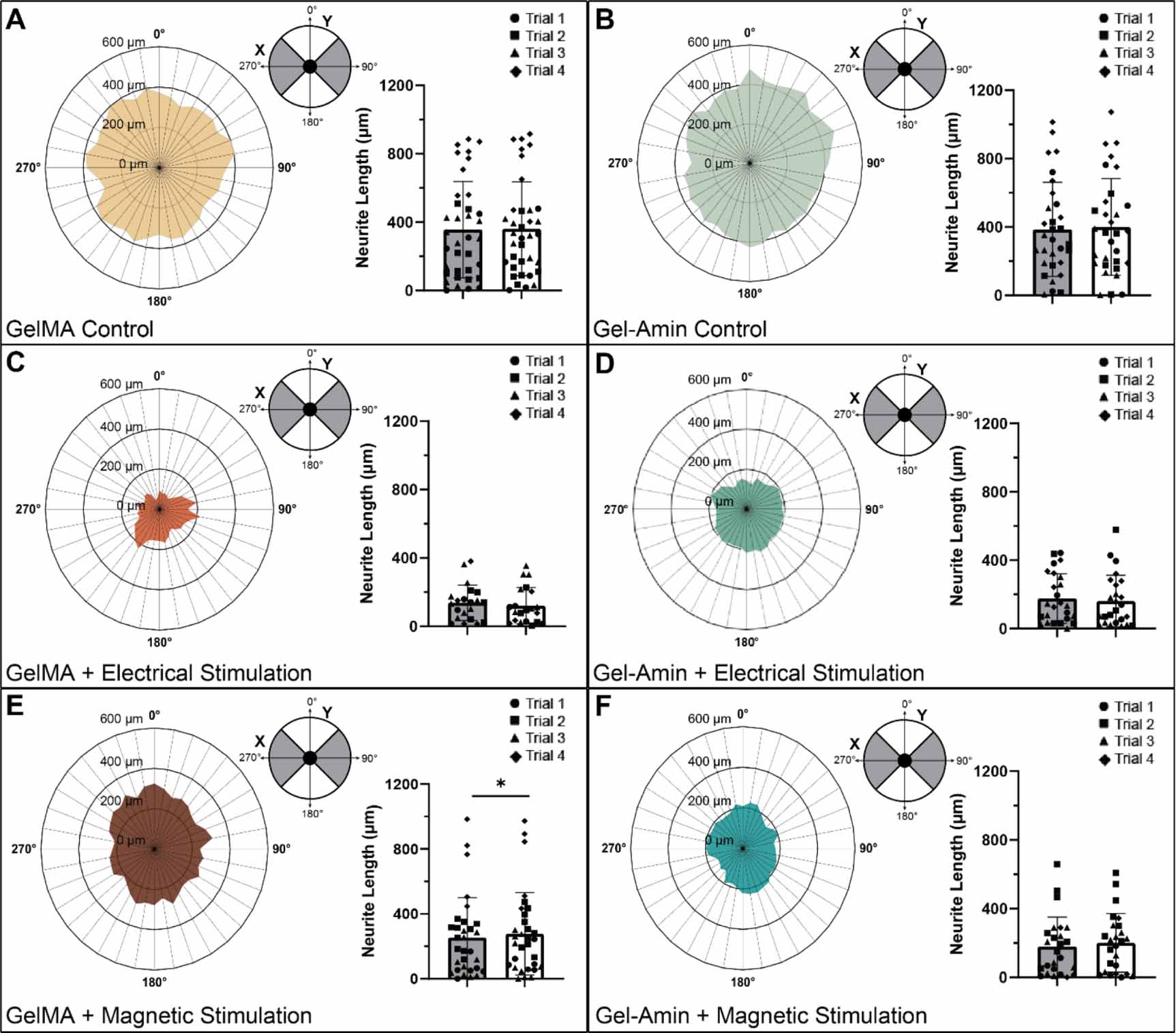 Electrical and magnetic stimulation separately modulates the extent and ...