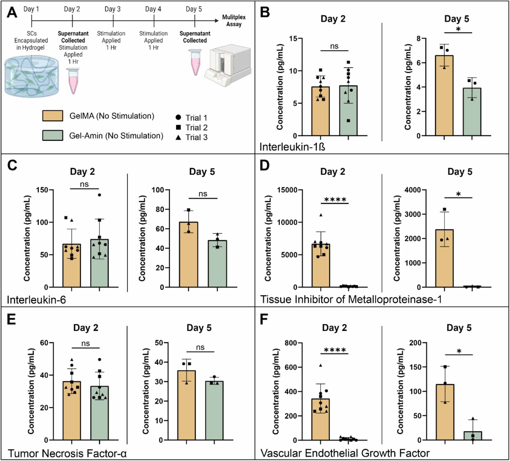 Electrical and magnetic stimulation separately modulates the extent and ...