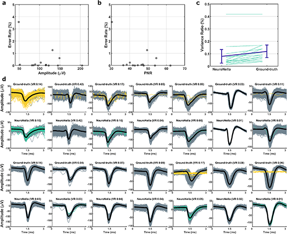 NeuroNella: Automatic identification of neural activity from ...
