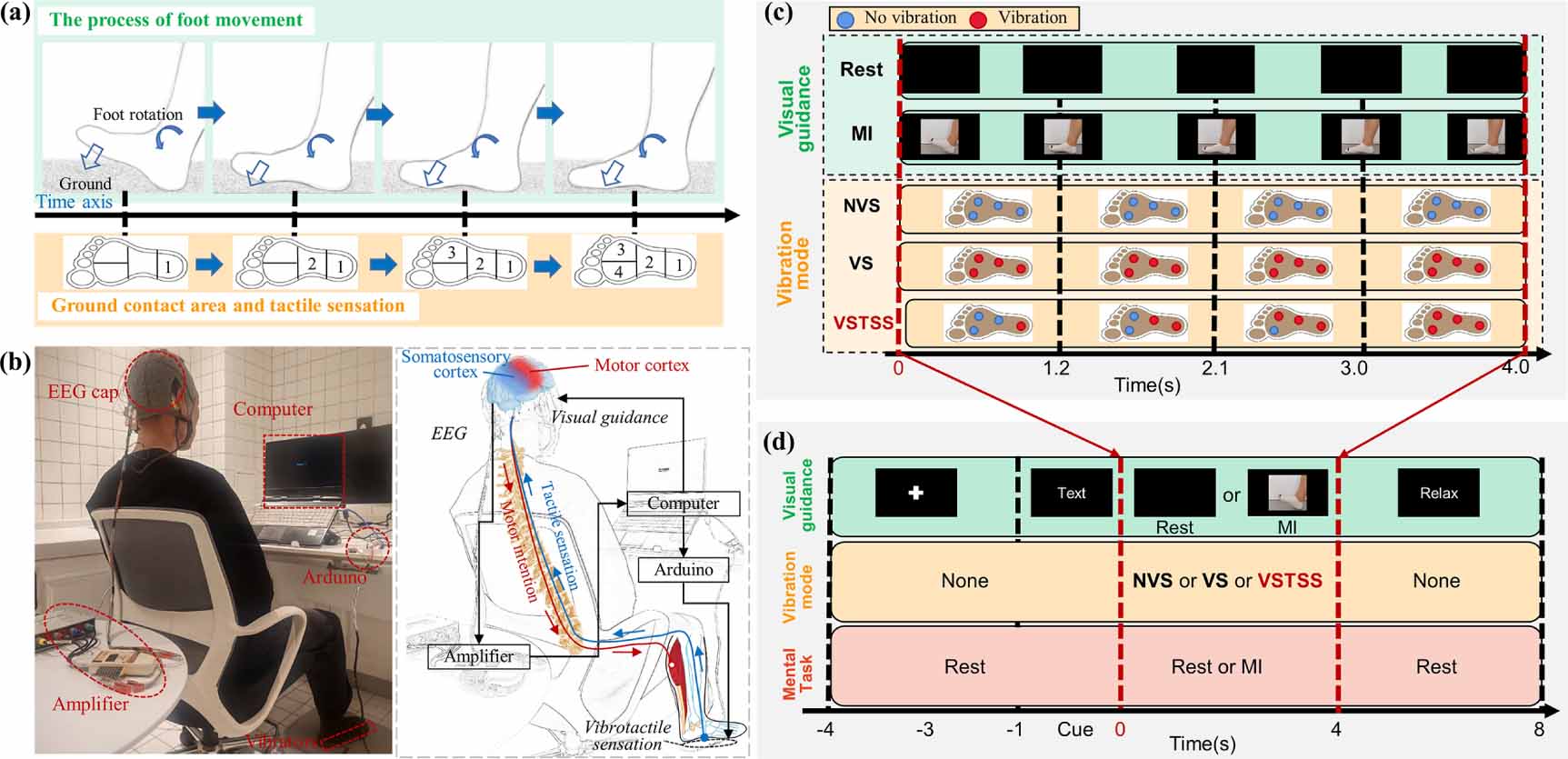 Enhancing lower-limb motor imagery using a paradigm with visual and ...
