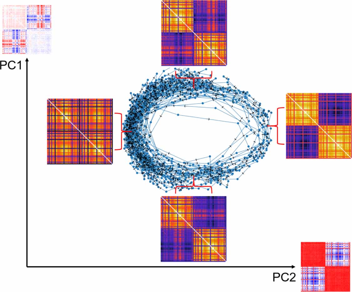 Precision non-invasive brain stimulation: an in silico pipeline for ...