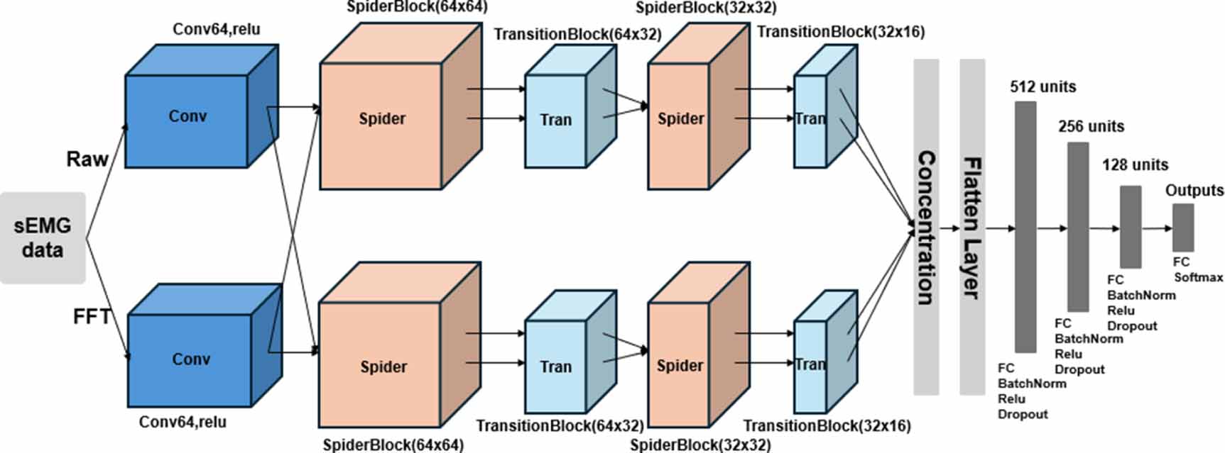 CS-Net: convolutional spider neural network for surface-EMG-based ...