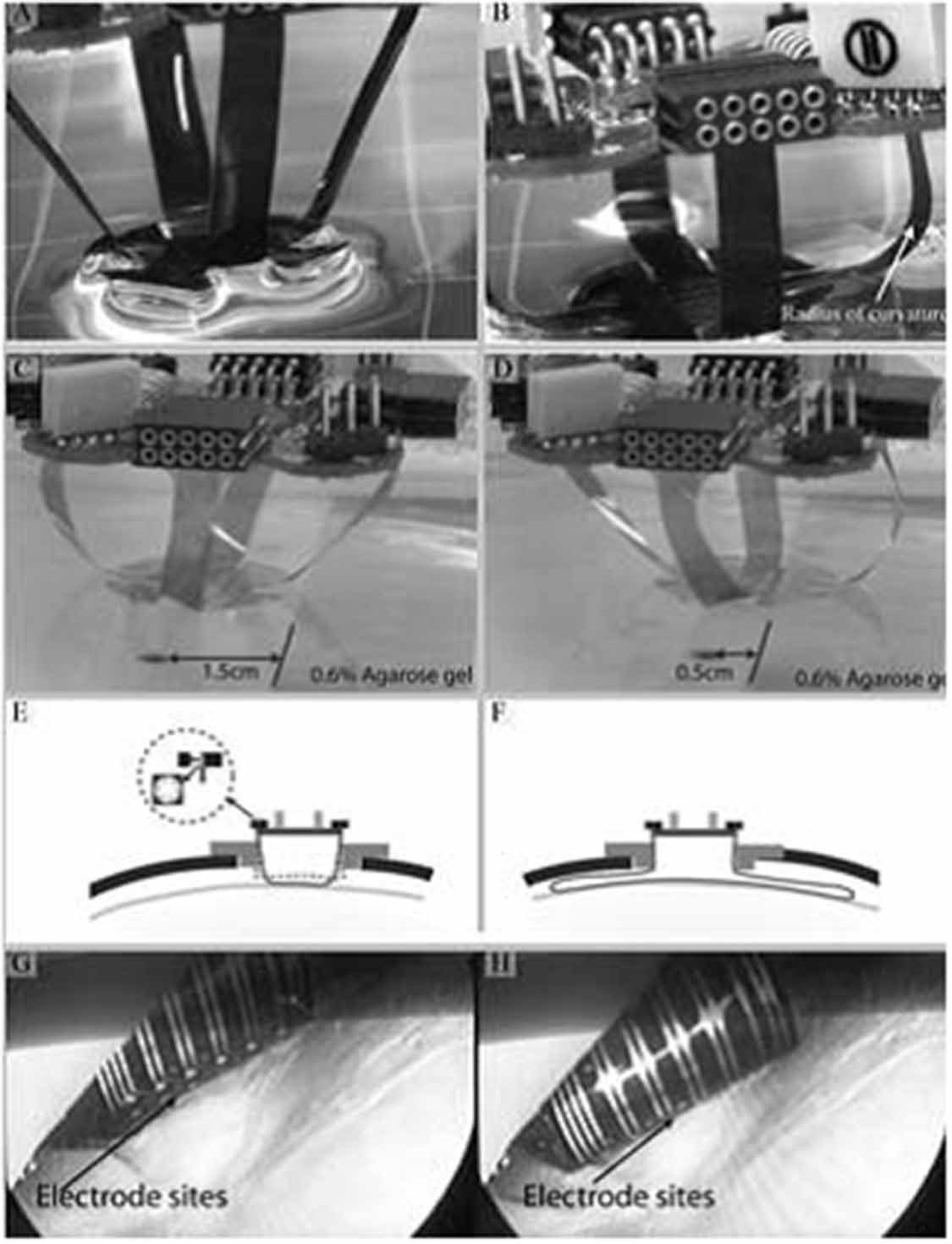 Deployable electrode arrays for brain interfaces: structural ...
