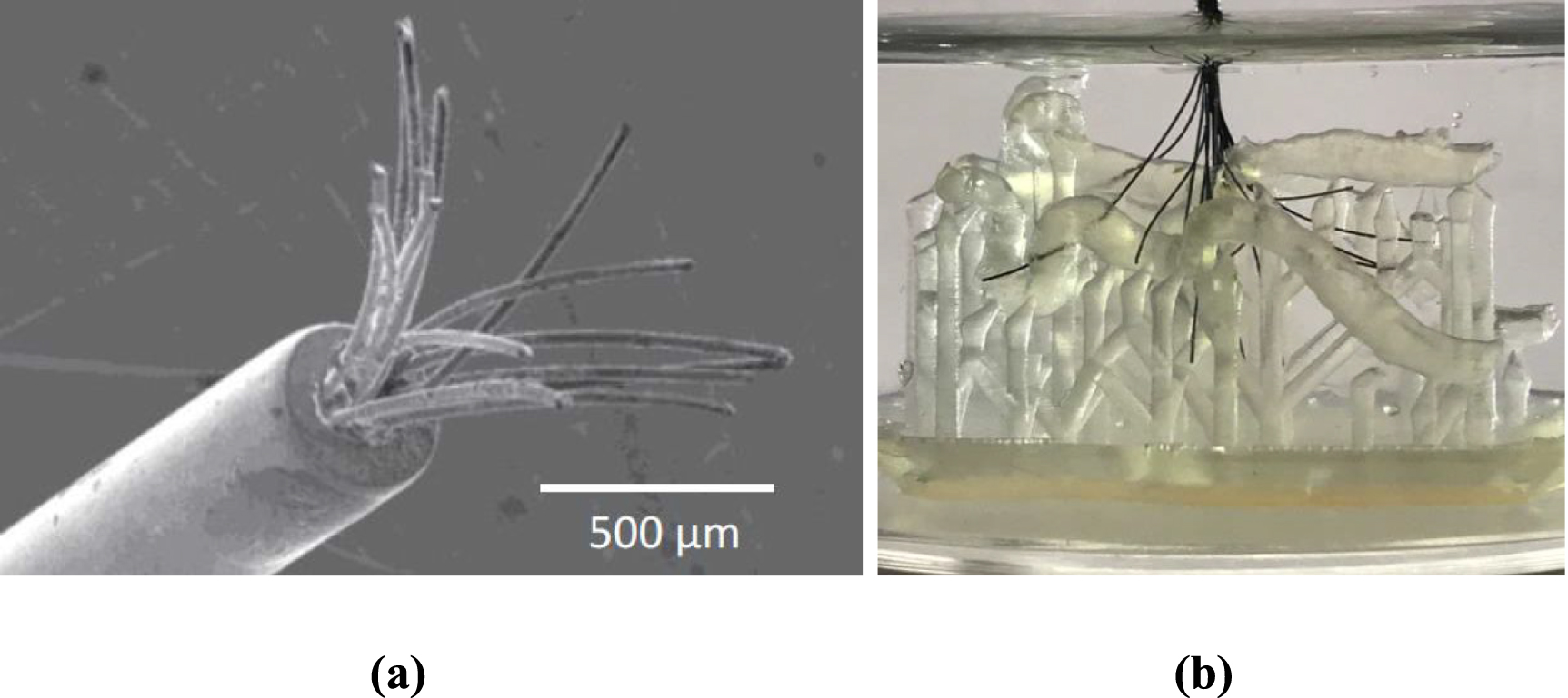 Deployable electrode arrays for brain interfaces: structural ...