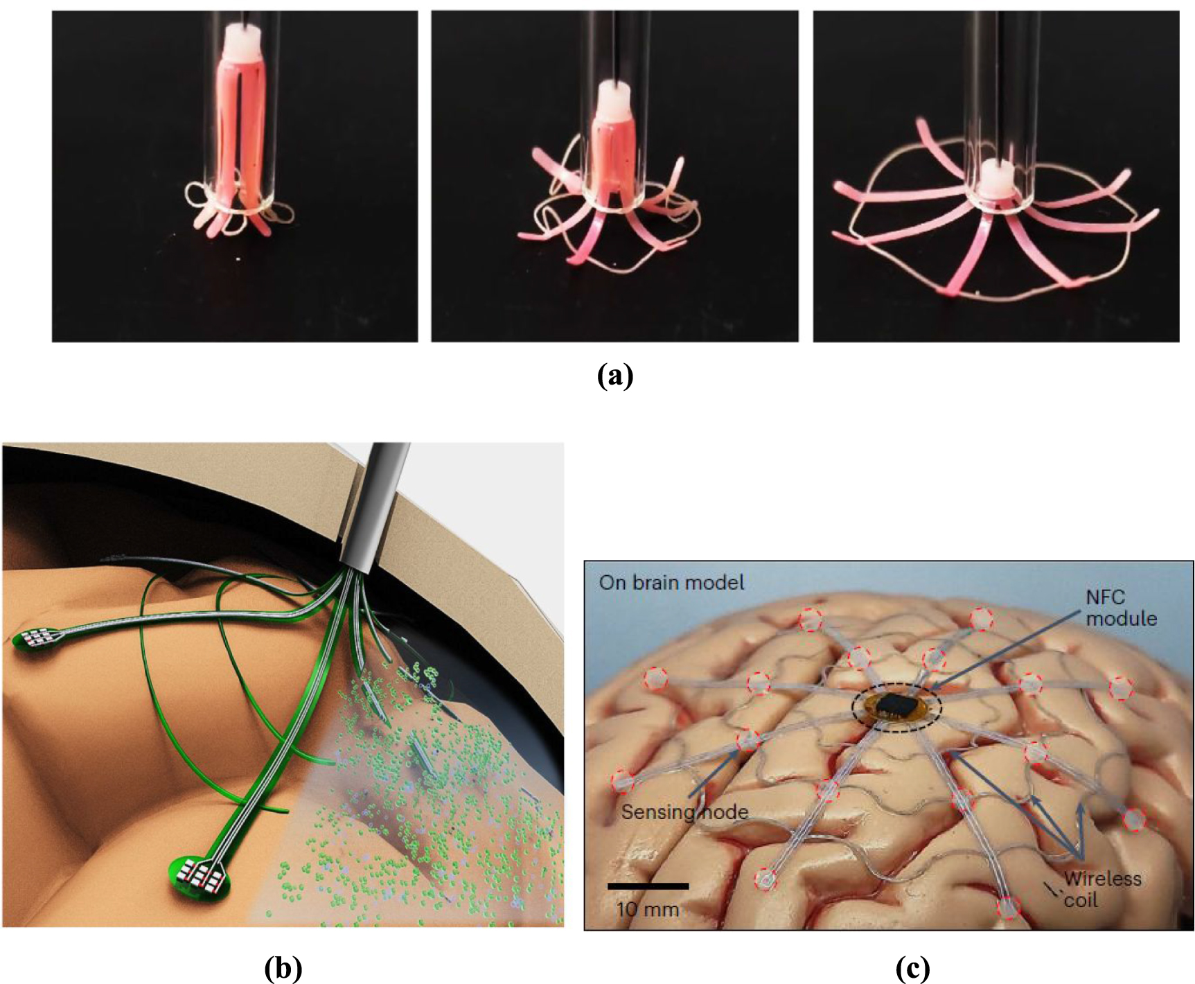 Deployable electrode arrays for brain interfaces: structural ...
