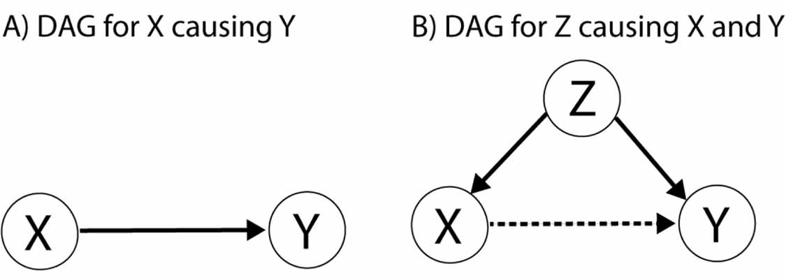 Untangling cross-regional cross-frequency coupling in dynamic neural ...