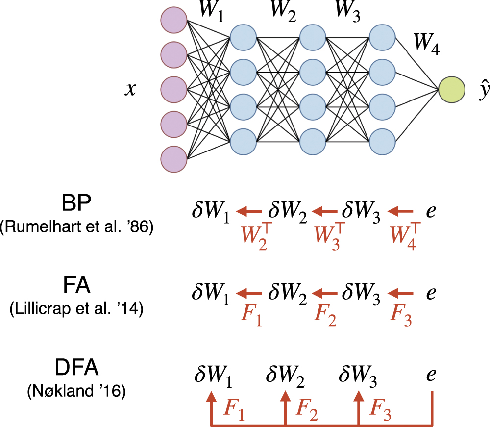 Align, then memorise: the dynamics of learning with feedback alignment - IOPscience