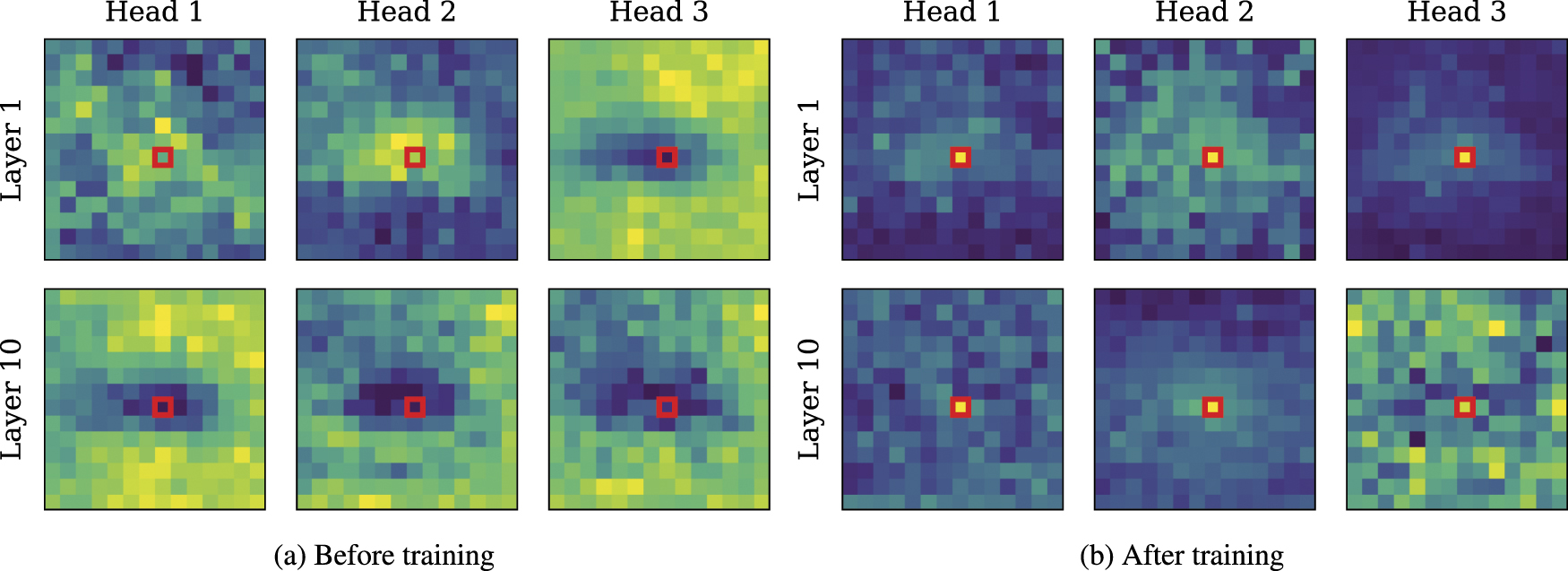 ConViT: improving vision transformers with soft convolutional inductive biases - IOPscience