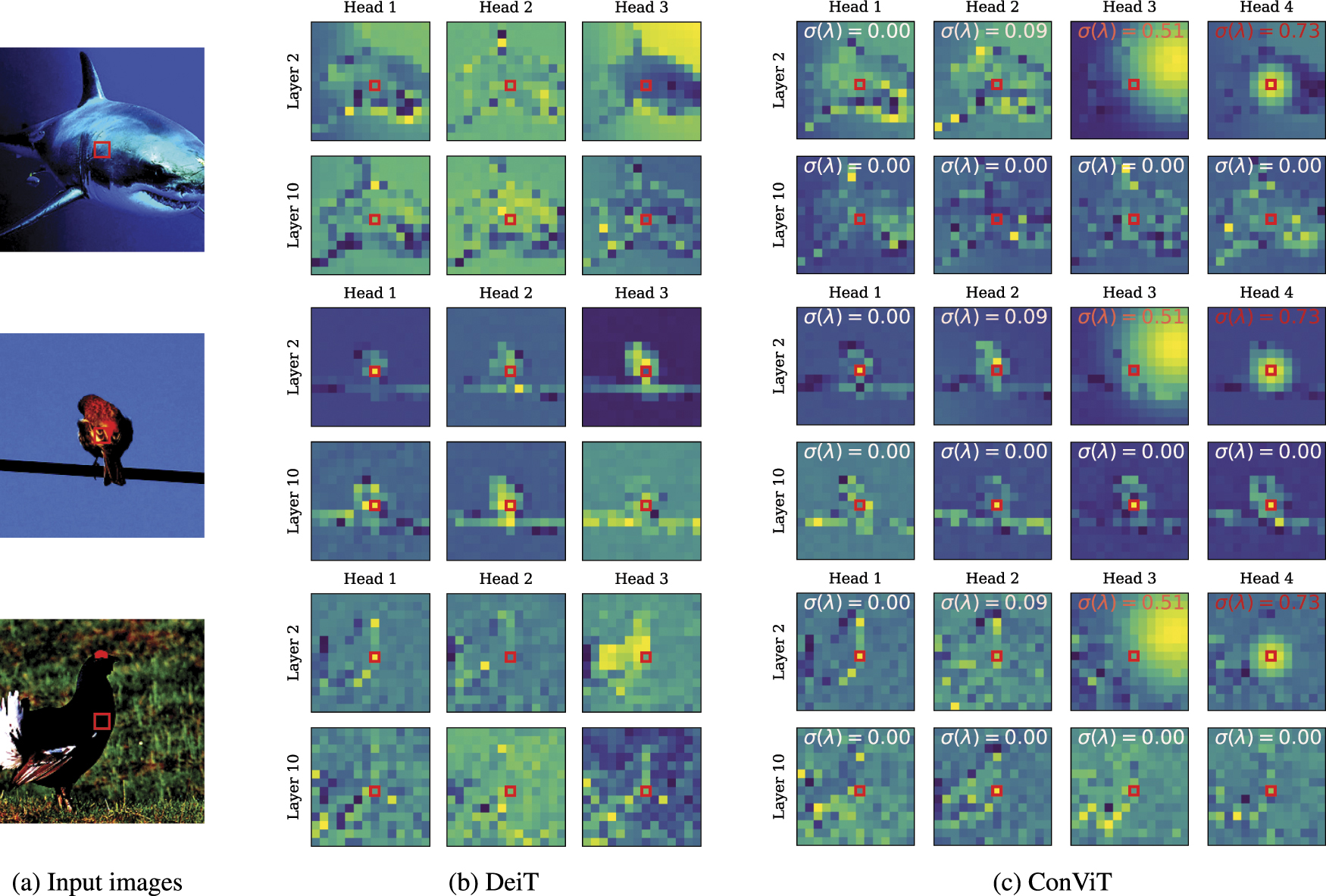 ConViT: improving vision transformers with soft convolutional inductive biases - IOPscience