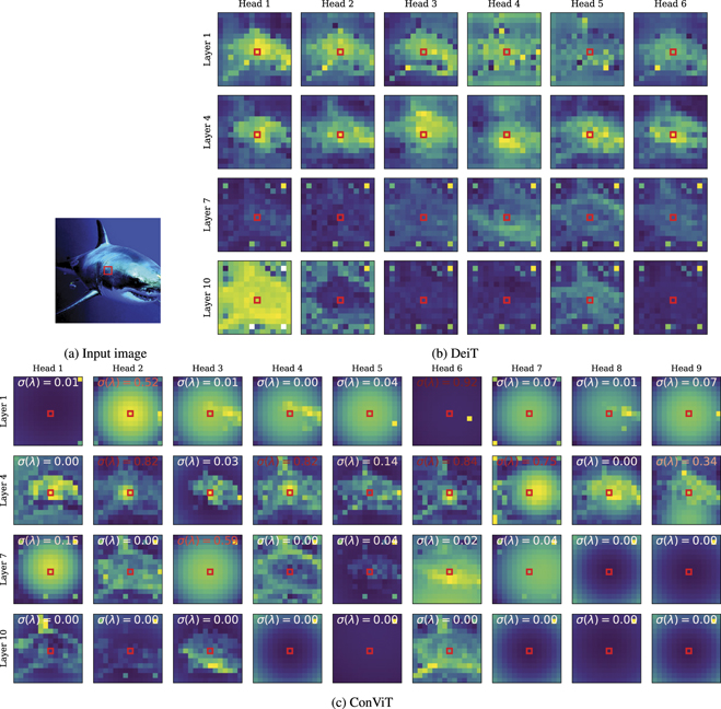 ConViT: improving vision transformers with soft convolutional inductive biases - IOPscience