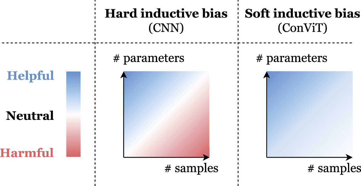 ConViT: improving vision transformers with soft convolutional inductive biases - IOPscience