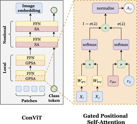 ConViT: improving vision transformers with soft convolutional inductive biases - IOPscience