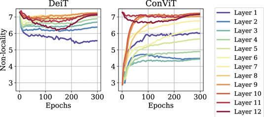 ConViT: improving vision transformers with soft convolutional inductive biases - IOPscience