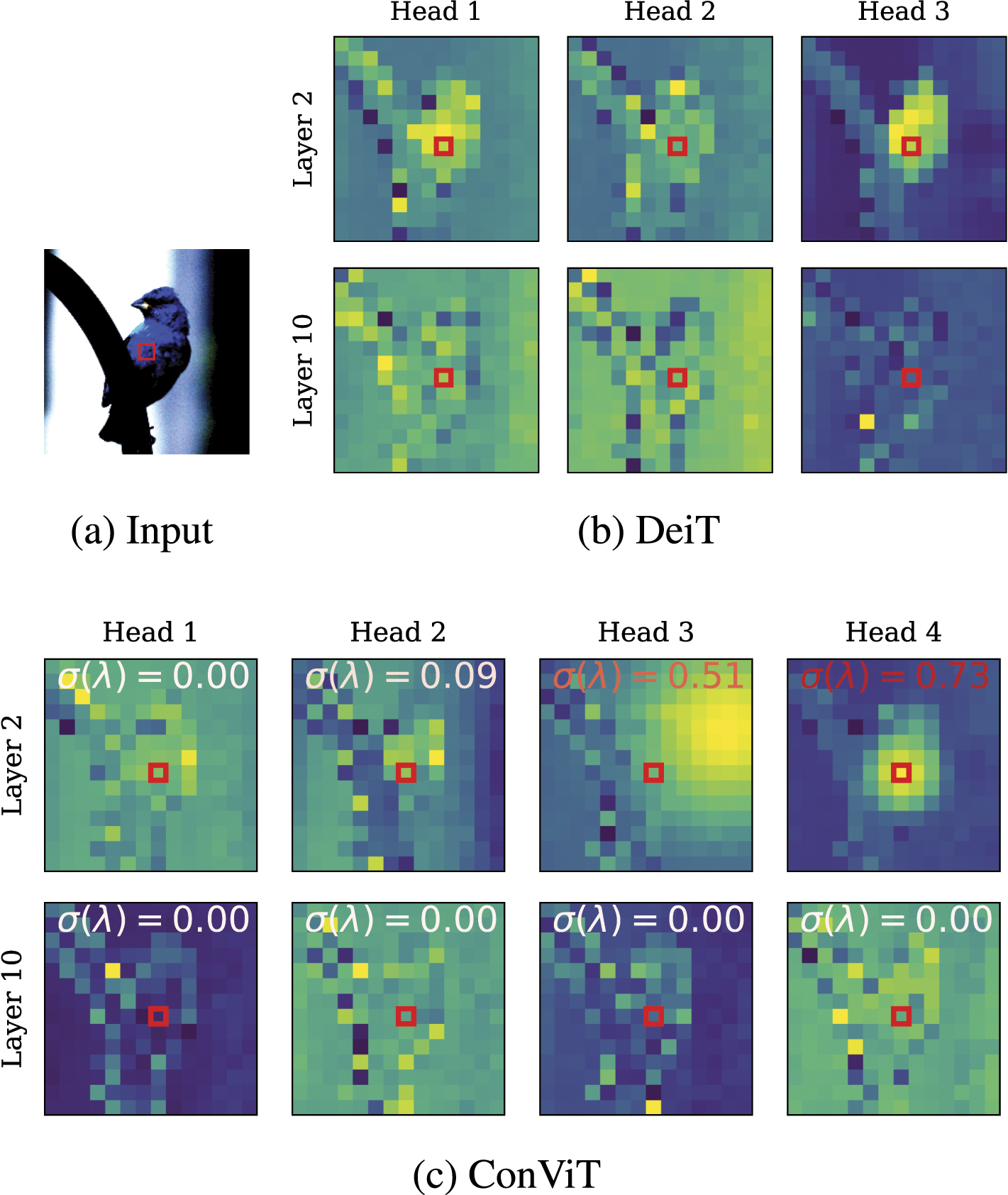 ConViT: improving vision transformers with soft convolutional inductive ...