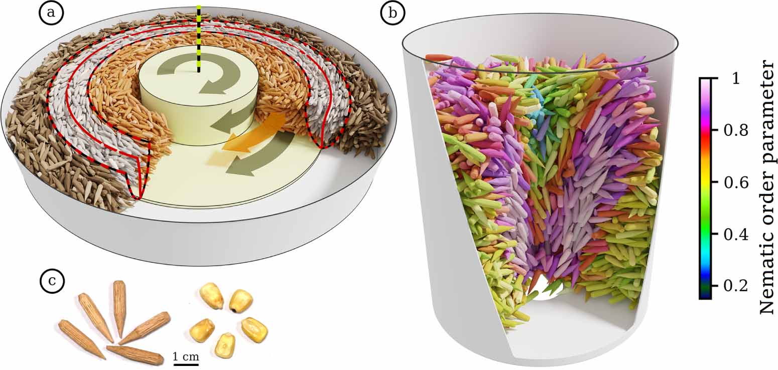 Flow of asymmetric elongated particles - IOPscience