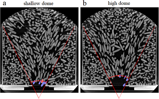 Flow of asymmetric elongated particles - IOPscience