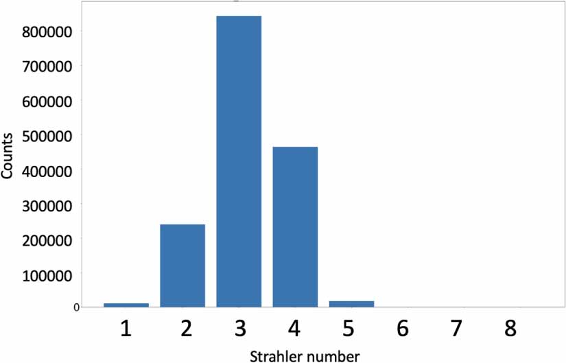Strahler number of natural language sentences in comparison with random ...