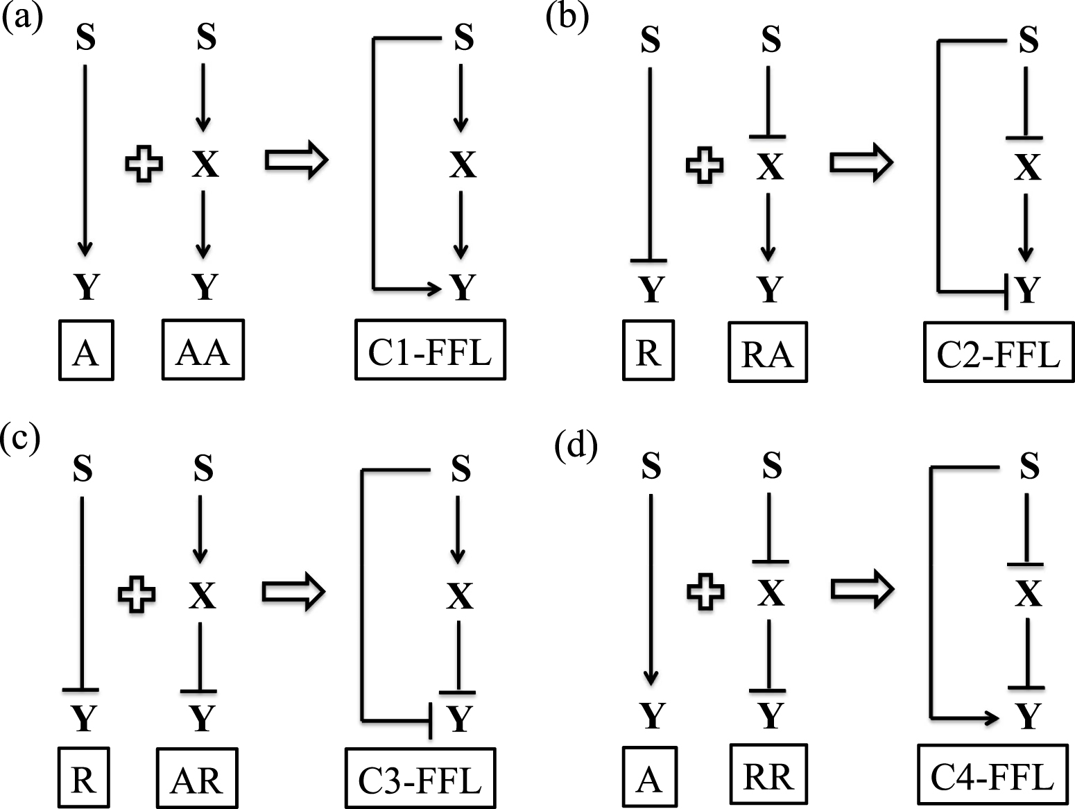 Interplay of degeneracy and non-degeneracy in fluctuation propagation ...