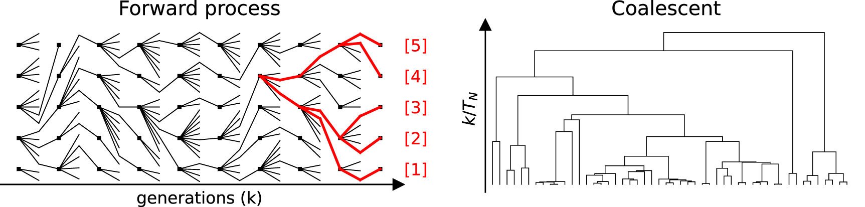 Coalescent processes emerging from large deviations - IOPscience