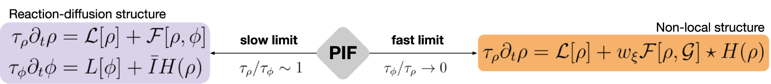 Pulsed interactions unify reaction–diffusion and spatial nonlocal models for biological pattern ...