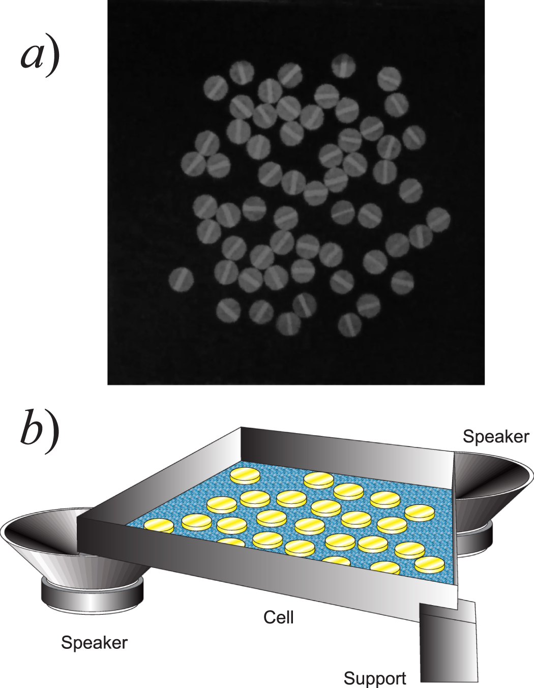 Rotational and translational dynamics and rheology in a granular system - IOPscience