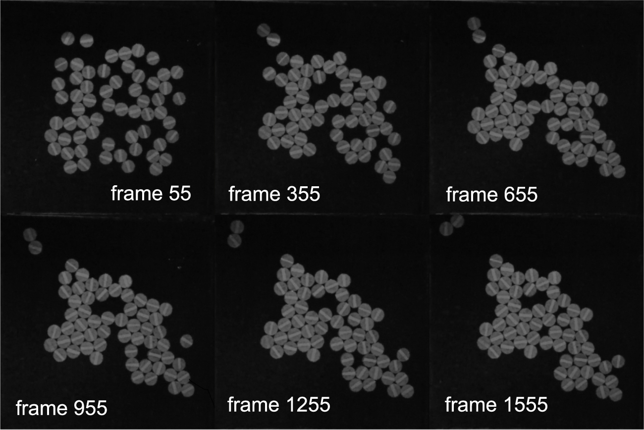 Rotational and translational dynamics and rheology in a granular system ...