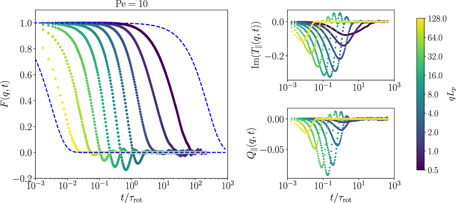 Closures of moment expansion of anisotropic active Brownian particles ...