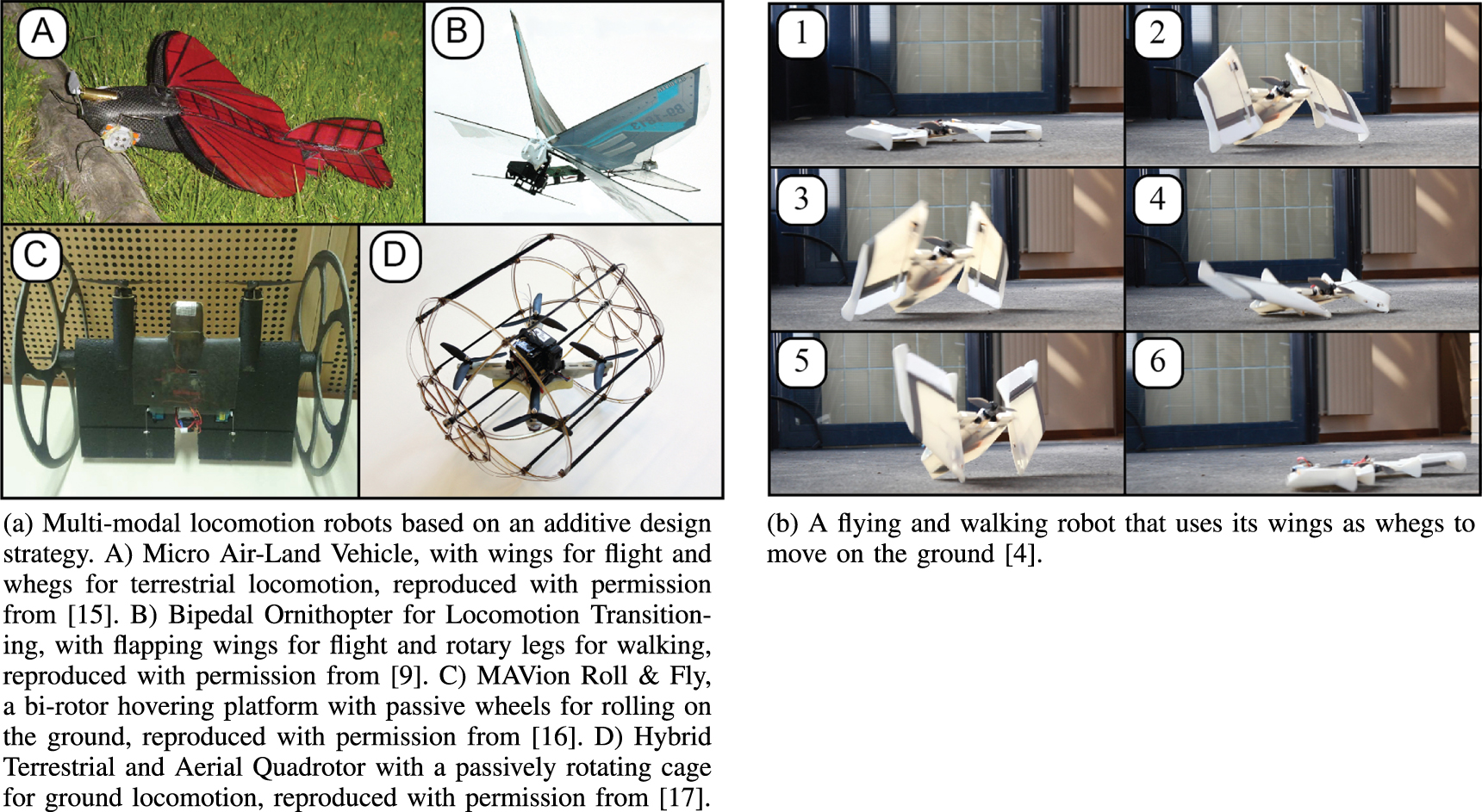 A bioinspired multi-modal flying and walking robot - IOPscience