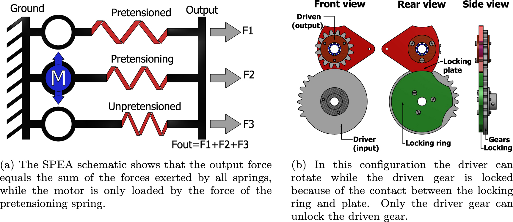 Bi-directional series-parallel elastic actuator and overlap of the ...