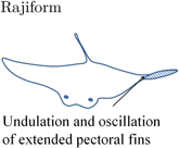 Fish-inspired robots: design, sensing, actuation, and autonomy—a review ...