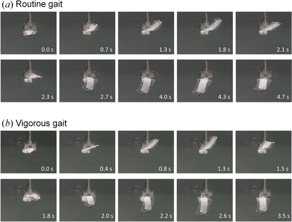 Turtle mimetic soft robot with two swimming gaits - IOPscience