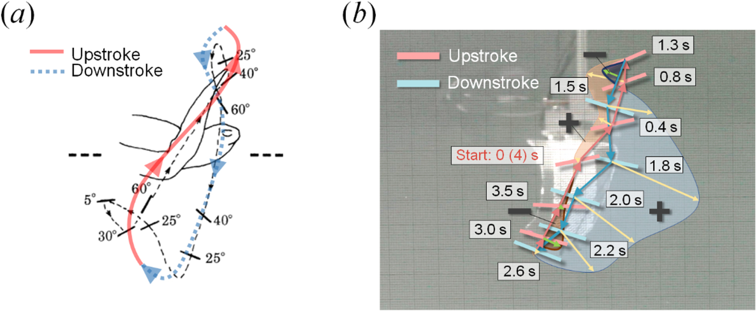 Turtle mimetic soft robot with two swimming gaits - IOPscience
