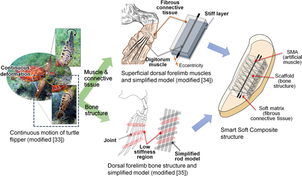 Turtle mimetic soft robot with two swimming gaits - IOPscience