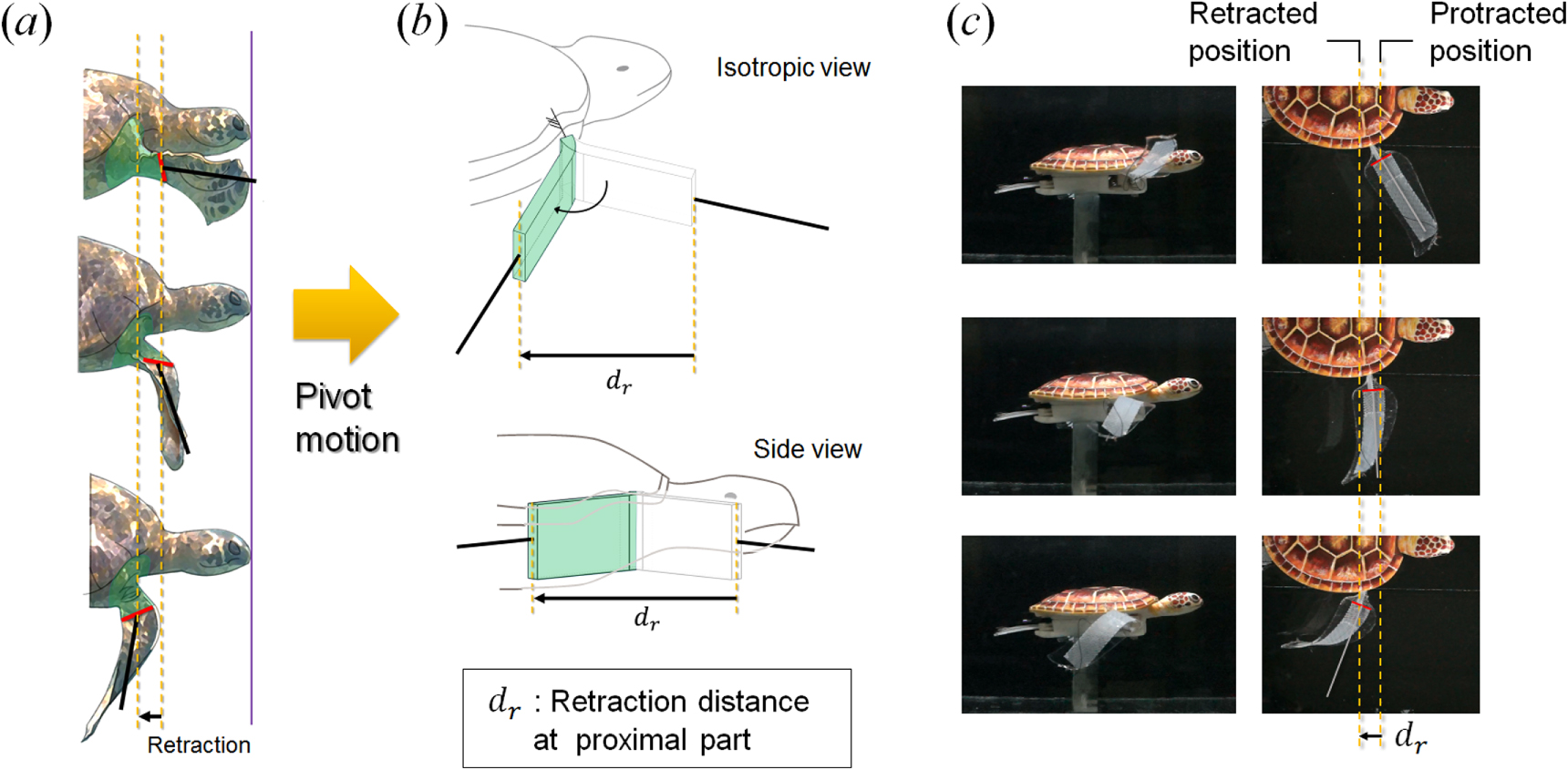 Turtle mimetic soft robot with two swimming gaits - IOPscience