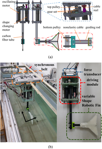 Development of a bio-inspired transformable robotic fin - IOPscience