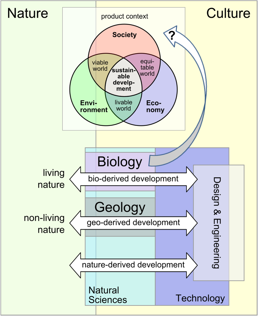 Biomimetic bio-inspired biomorph sustainable? An attempt to classify ...