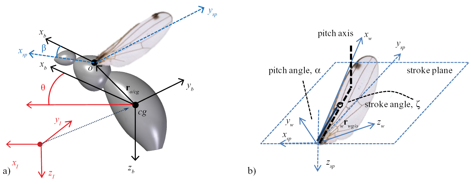 Wing-wake interaction destabilizes hover equilibrium of a flapping ...