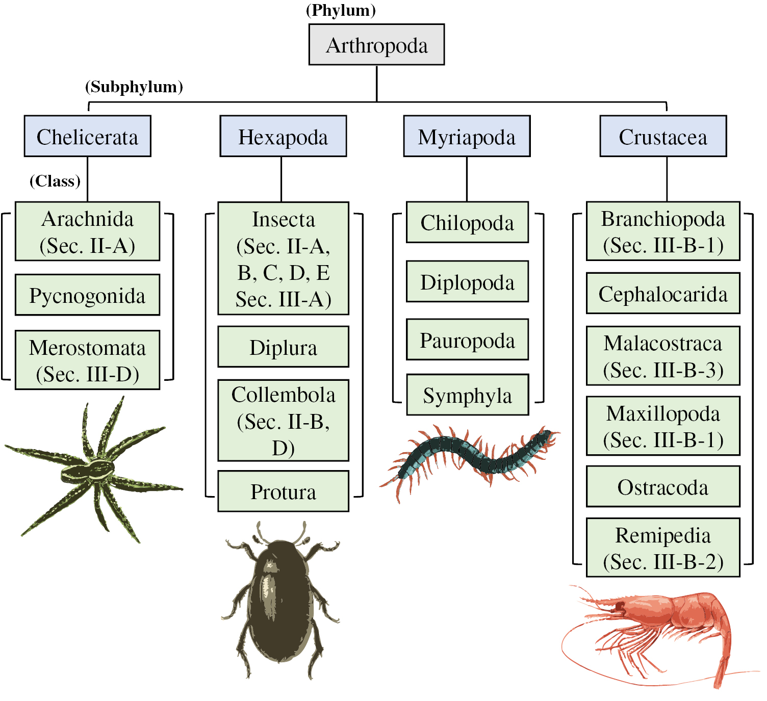 Locomotion of arthropods in aquatic environment and their applications ...