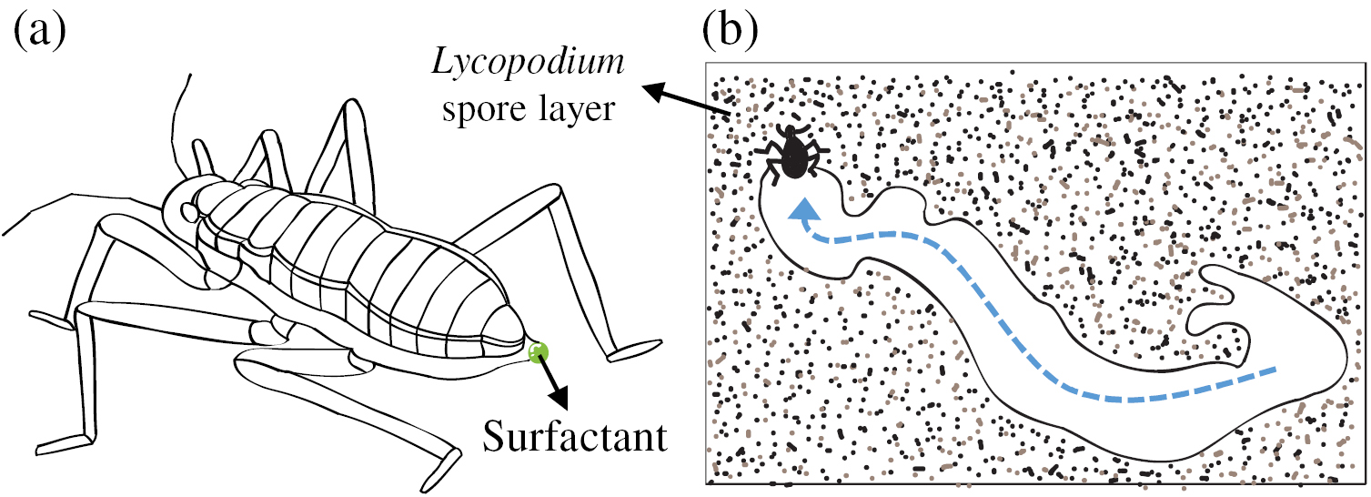 Locomotion of arthropods in aquatic environment and their applications ...