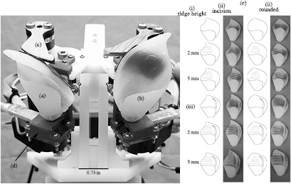 A design for a dynamic biomimetic sonarhead inspired by horseshoe bats ...
