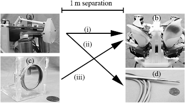 A design for a dynamic biomimetic sonarhead inspired by horseshoe bats ...