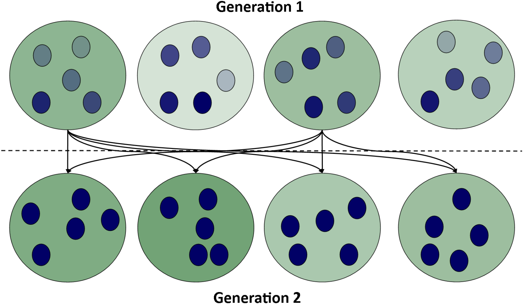 Re-inspiring the genetic algorithm with multi-level selection theory ...