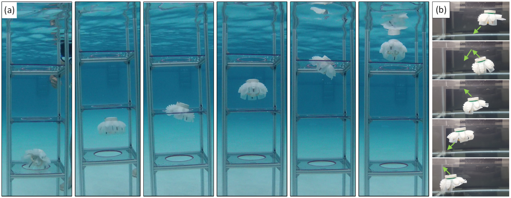 Thrust force characterization of free-swimming soft robotic jellyfish ...