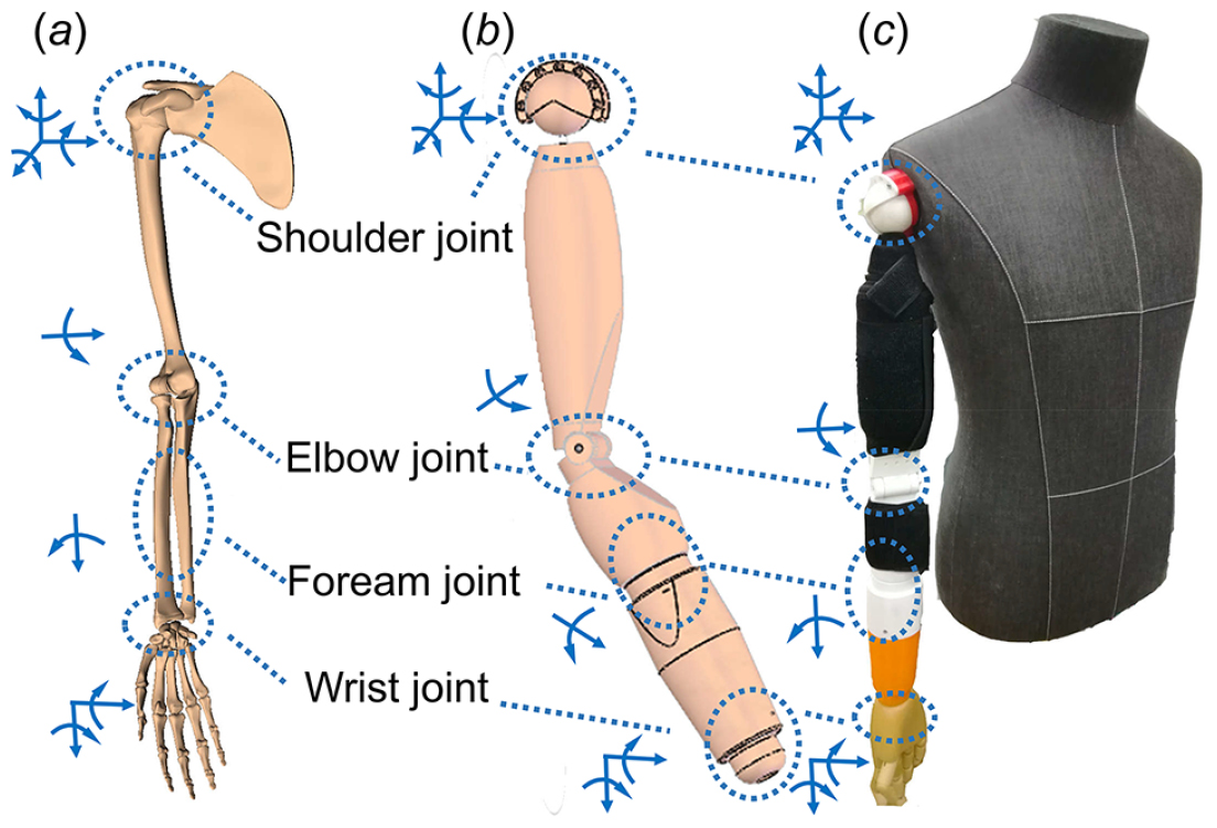 Bio-inspired upper limb soft exoskeleton to reduce stroke-induced ...