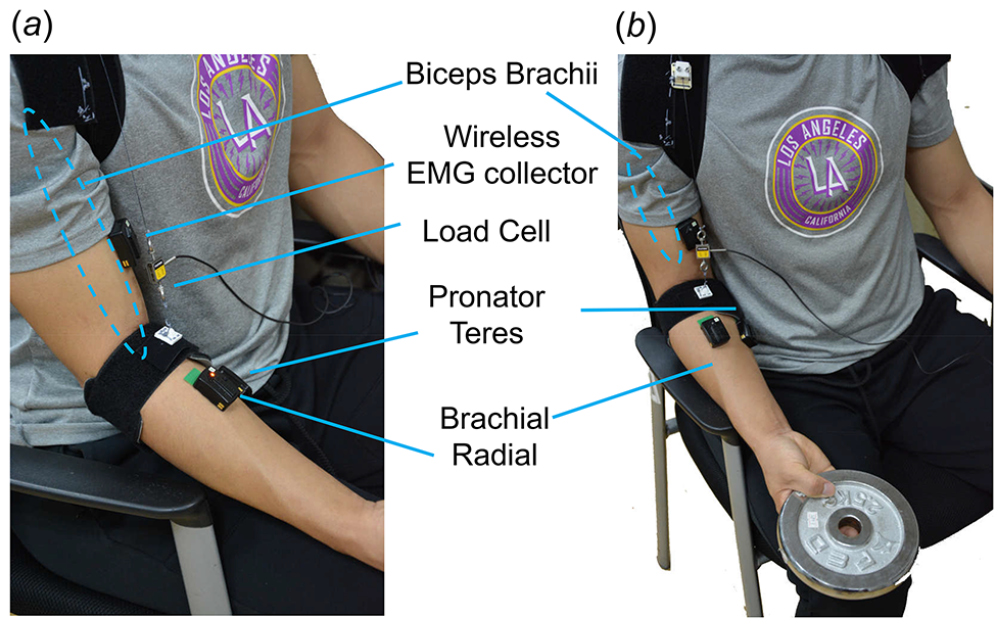 Bio-inspired upper limb soft exoskeleton to reduce stroke-induced ...